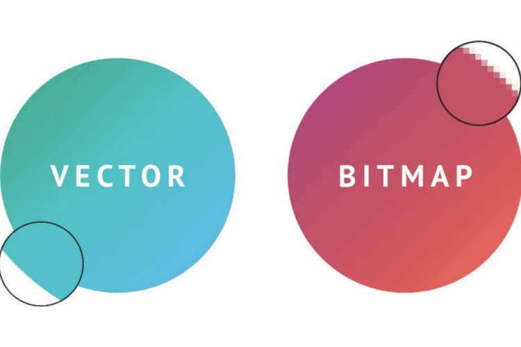 Apa Perbedaan Vektor dan Bitmap dalam Desain Grafis? - News Information